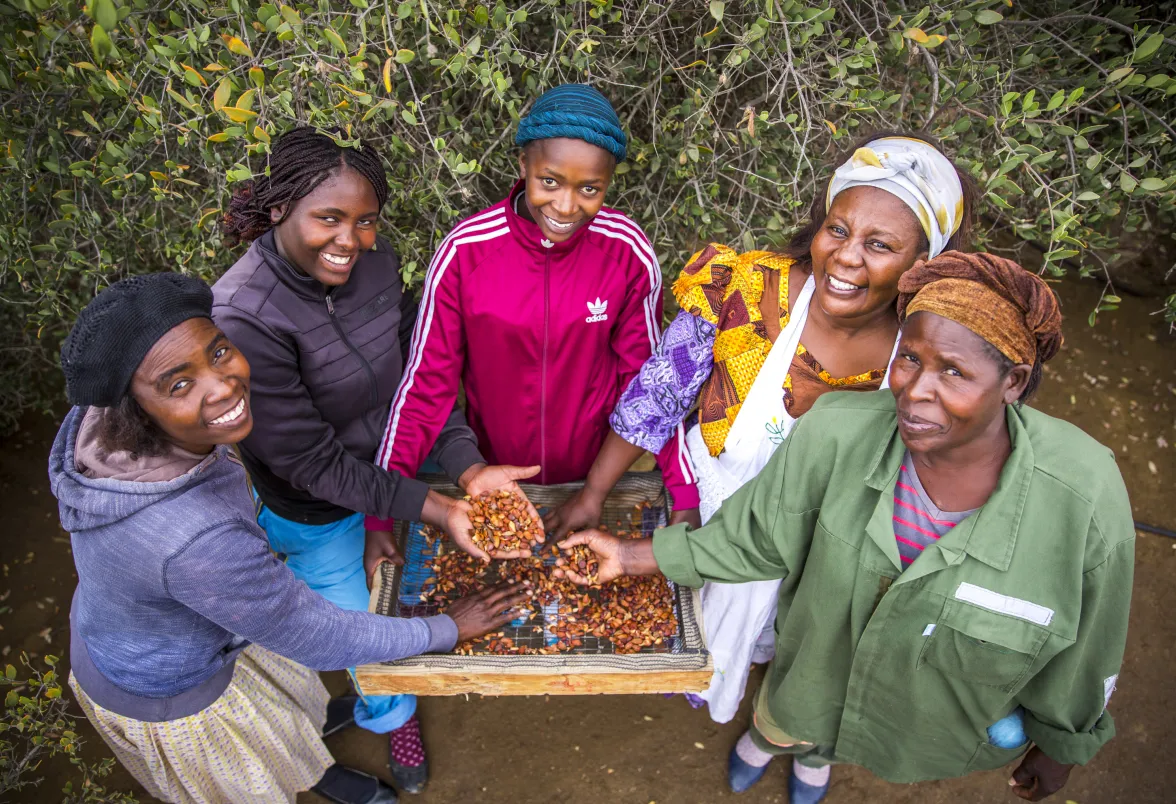 Implementing the Circular Economy for Sustainable Development in ...